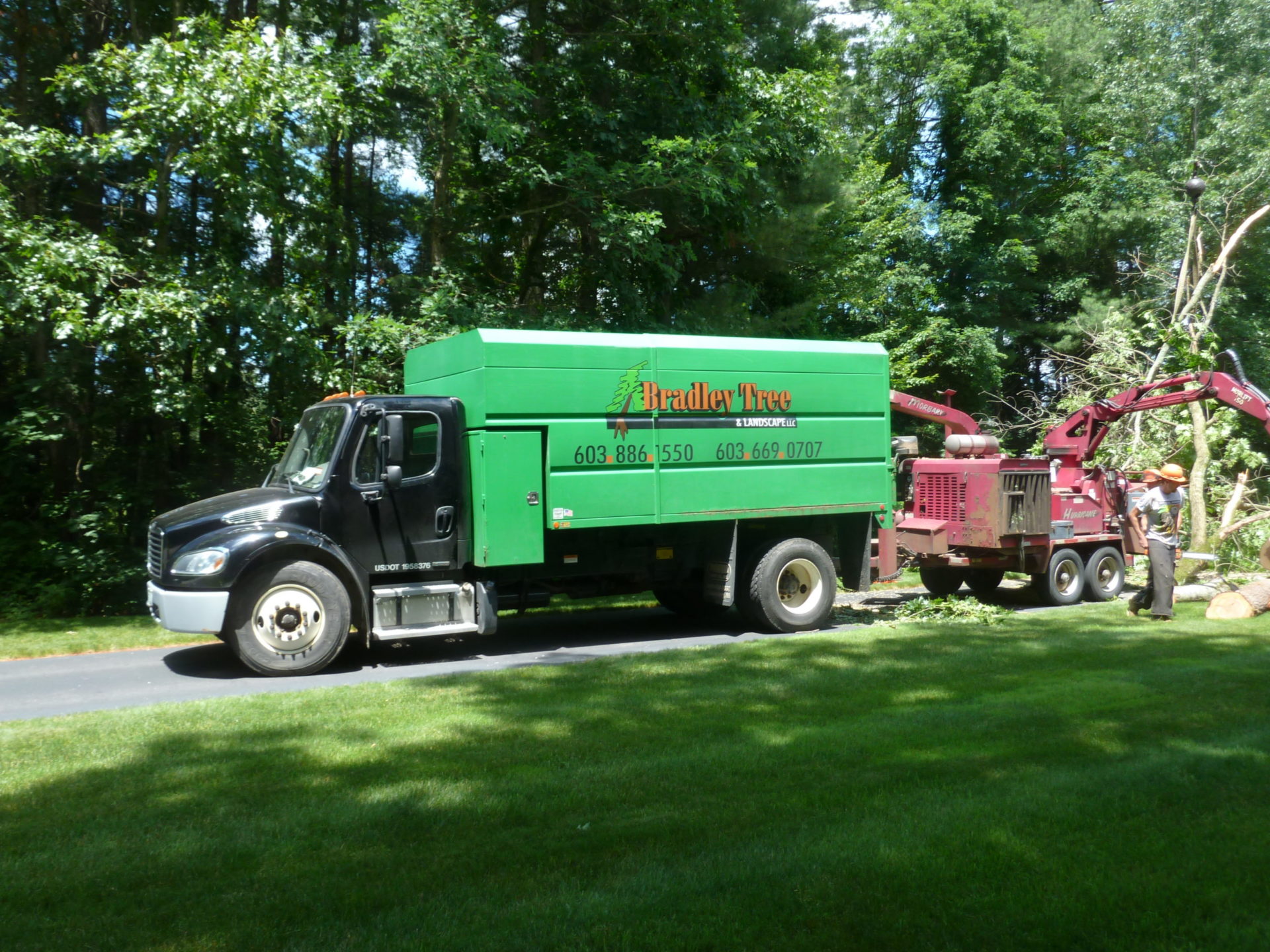 We're Hiring! | Bradley Tree and Landscape